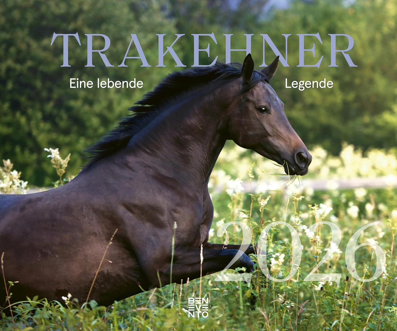 Trakehner 2026: Eine lebende Legende Kalender | Bibliomaniacs